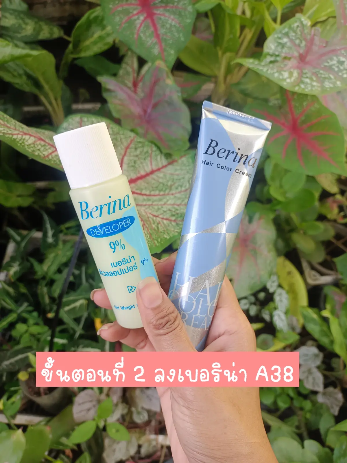 ย้อมสีผม | แกลเลอรีที่โพสต์โดย Mentor WanWan | Lemon8