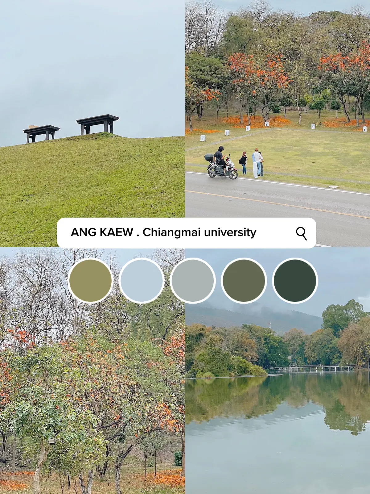 Ang Kaew . Chiangmai university เดินชมอ่างแก้ว ชิลสุดๆ | แกลเลอรีที่โพสต์โดย ningayo | Lemon8