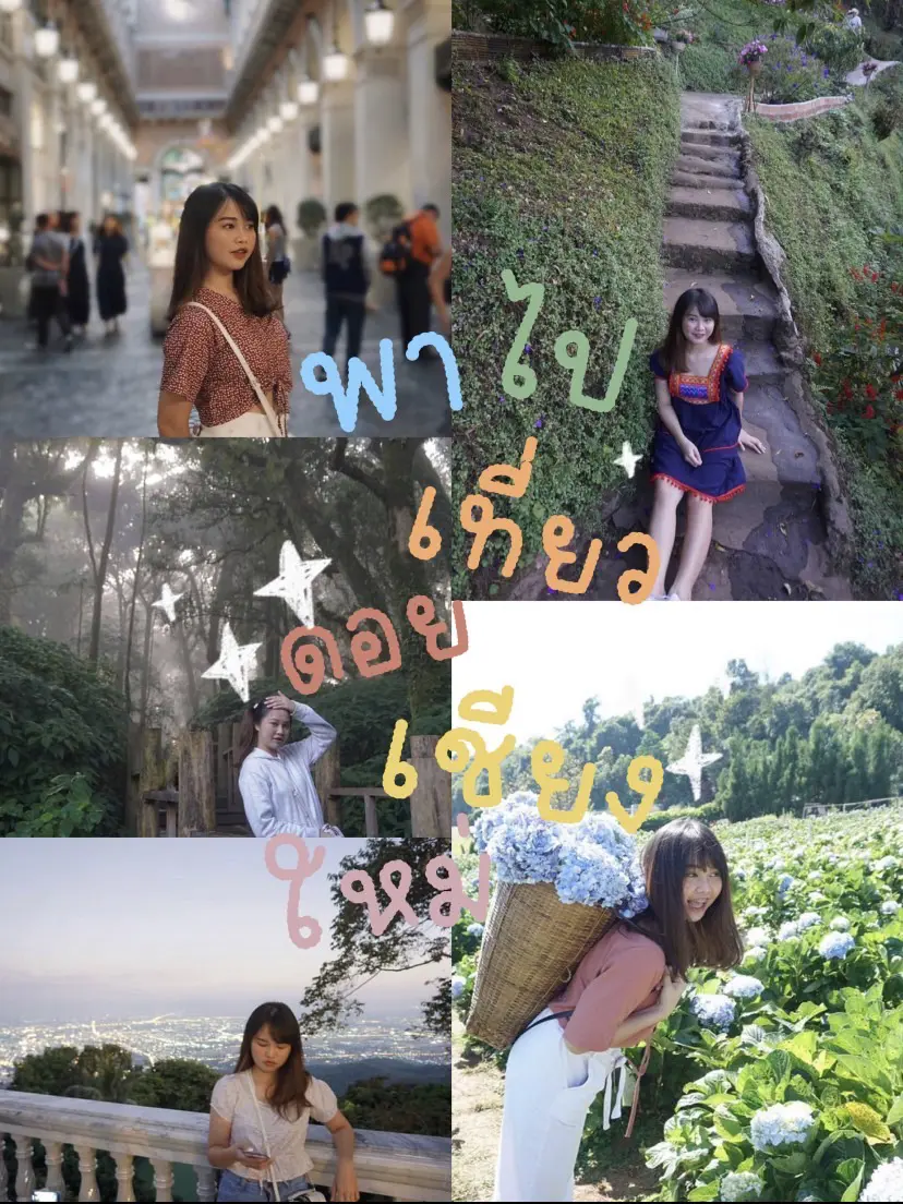 พาไปเที่ยวดอยต่างๆในเชียงใหม่ 🏔🛖⛰ | แกลเลอรีที่โพสต์โดย Charming | Lemon8
