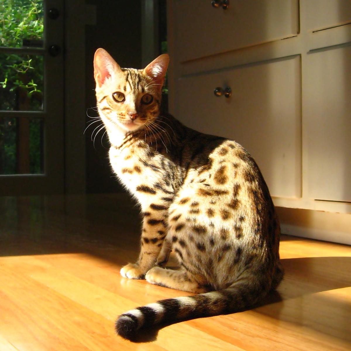 โพสต์ ของ ace_kamikaze|Lemon8