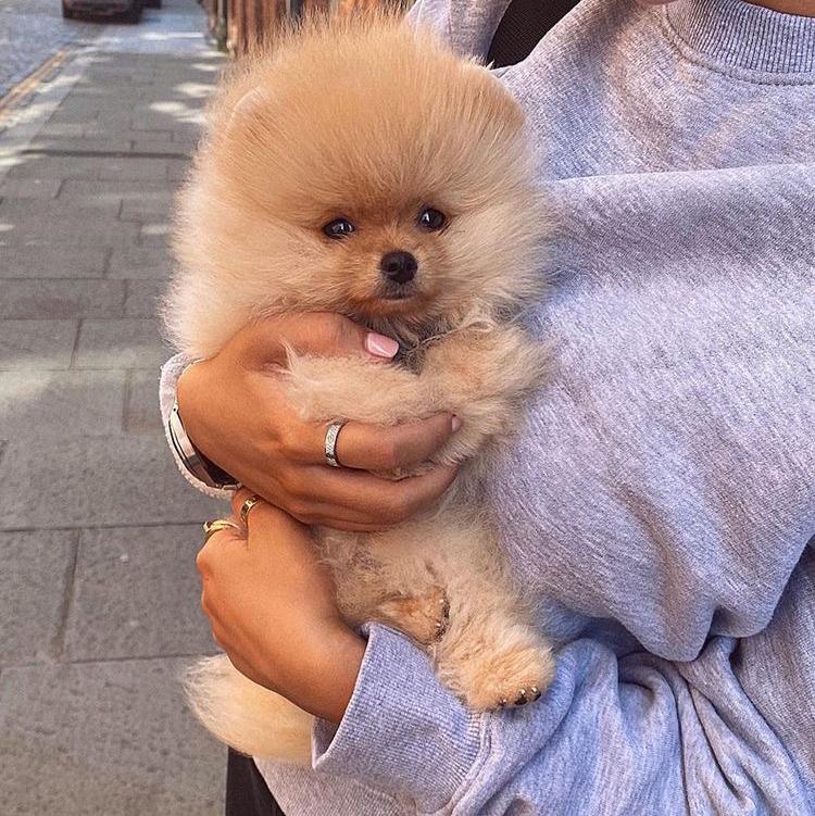 โพสต์ ของ Meobeo |Lemon8