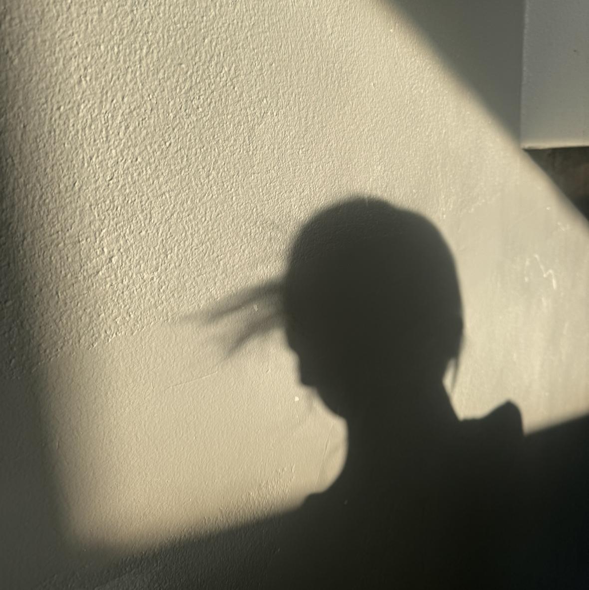 โพสต์ ของ shadow|Lemon8