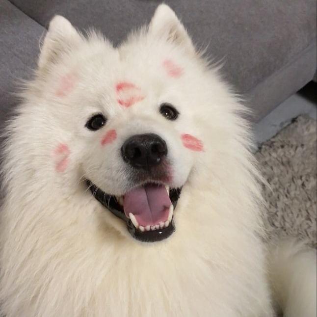 โพสต์ ของ nu_tx09|Lemon8