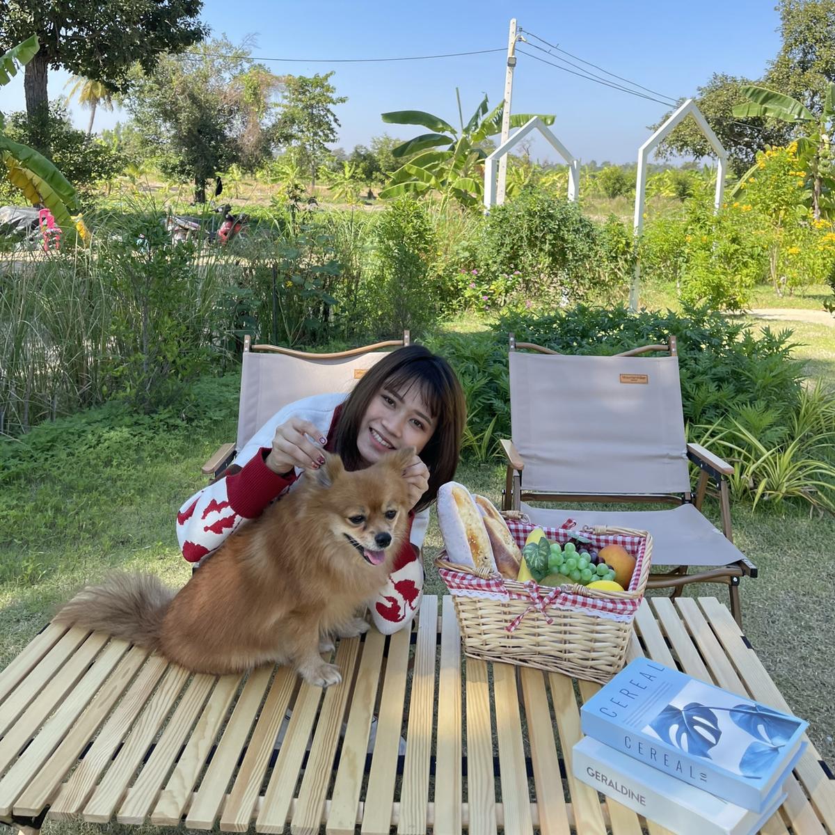 โพสต์ ของ Ying ant|Lemon8