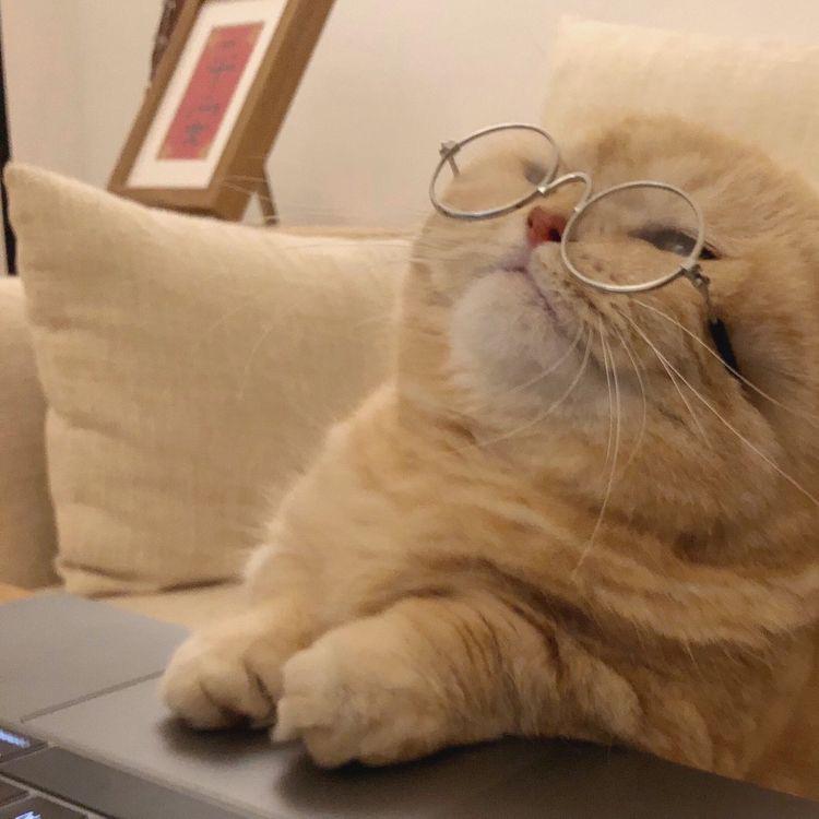 โพสต์ ของ PN|Lemon8