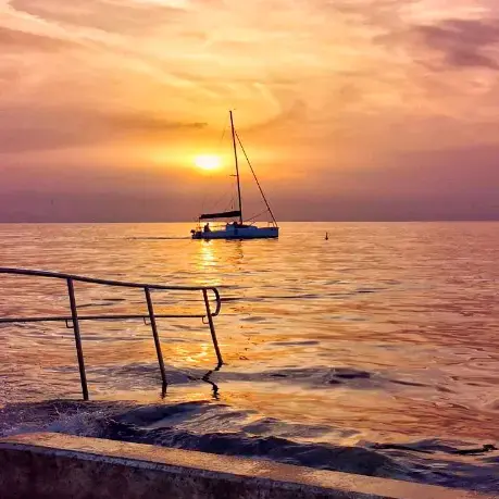 Posting Study & Tips UT|Lemon8