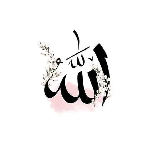 Posting Beyond_Miracles|Lemon8