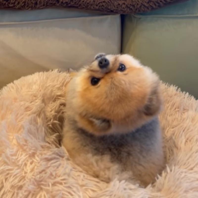 โพสต์ ของ Mick|Lemon8