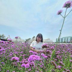 โพสต์ ของ Chattaporn Arun|Lemon8