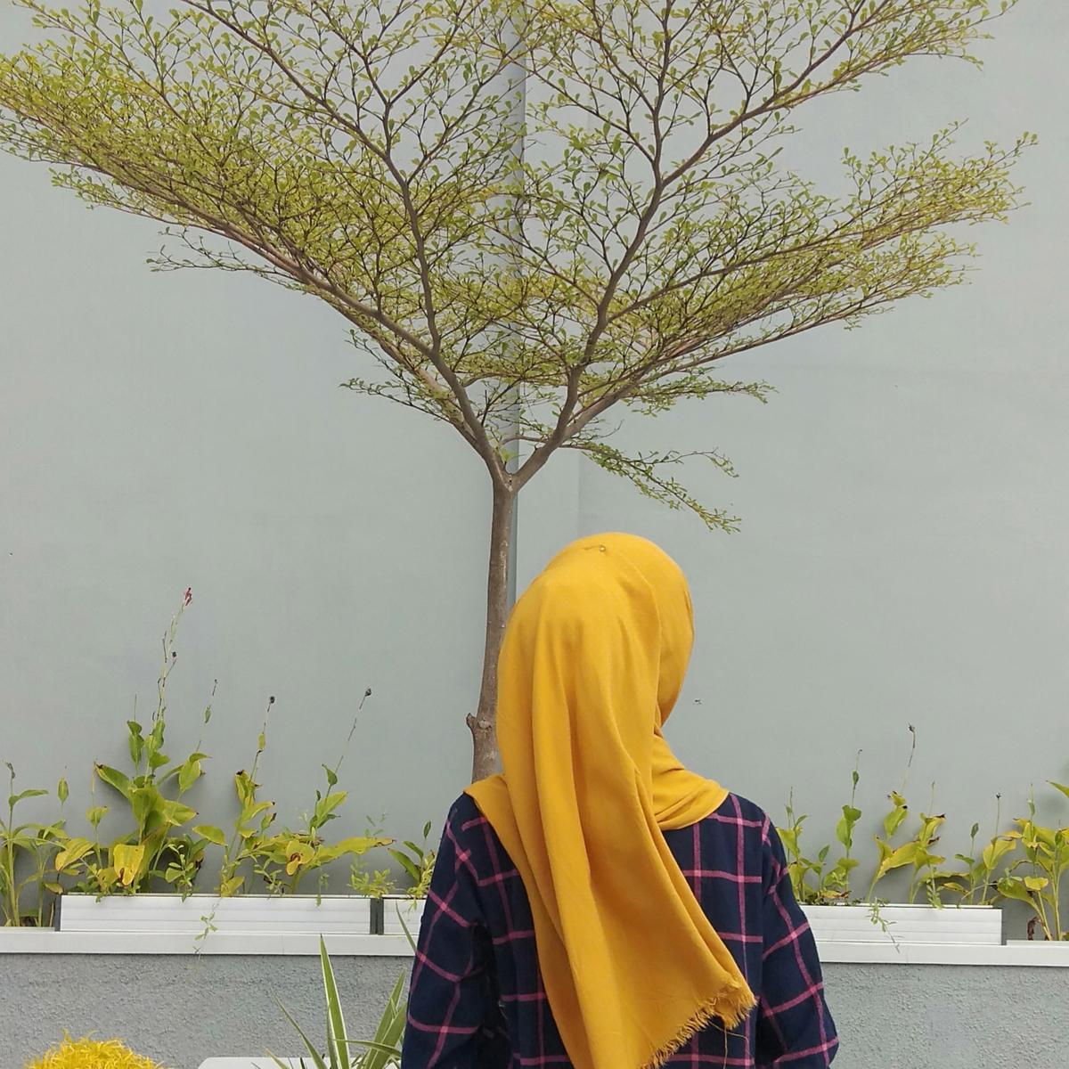 Siarkan wirda syeckhbuu|Lemon8