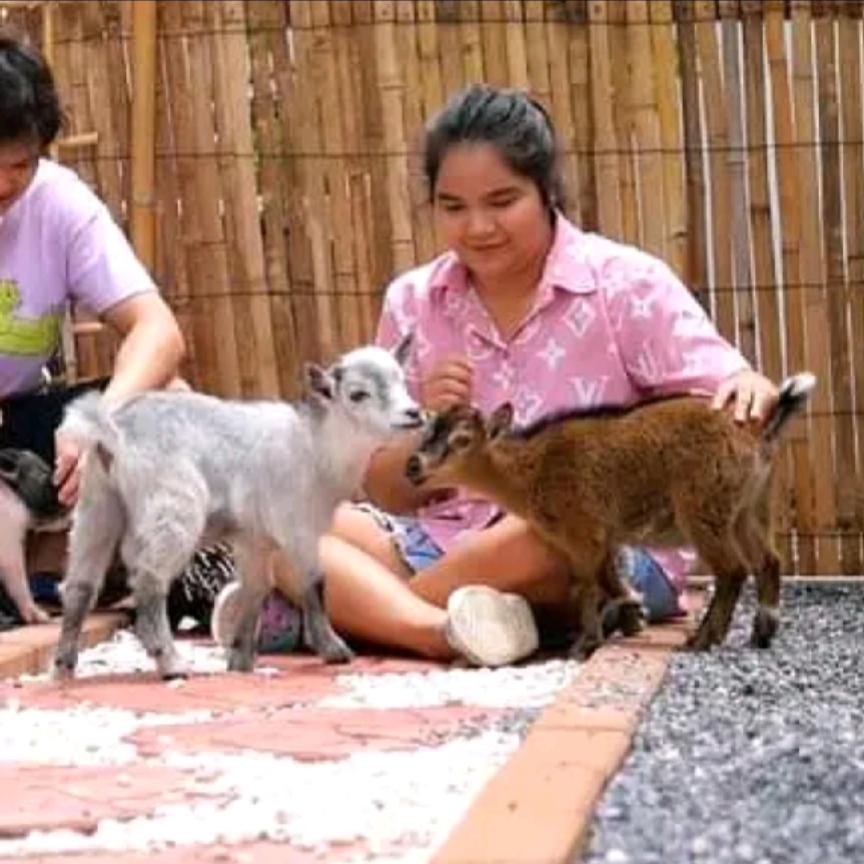 โพสต์ ของ Bluebell boo|Lemon8