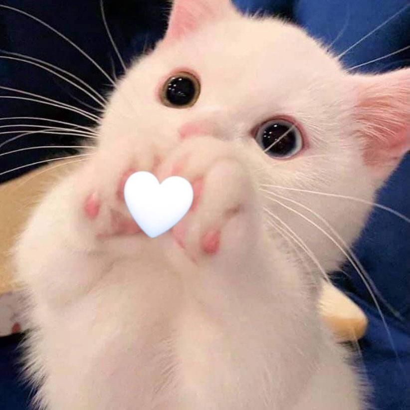 โพสต์ ของ Sunn_y|Lemon8