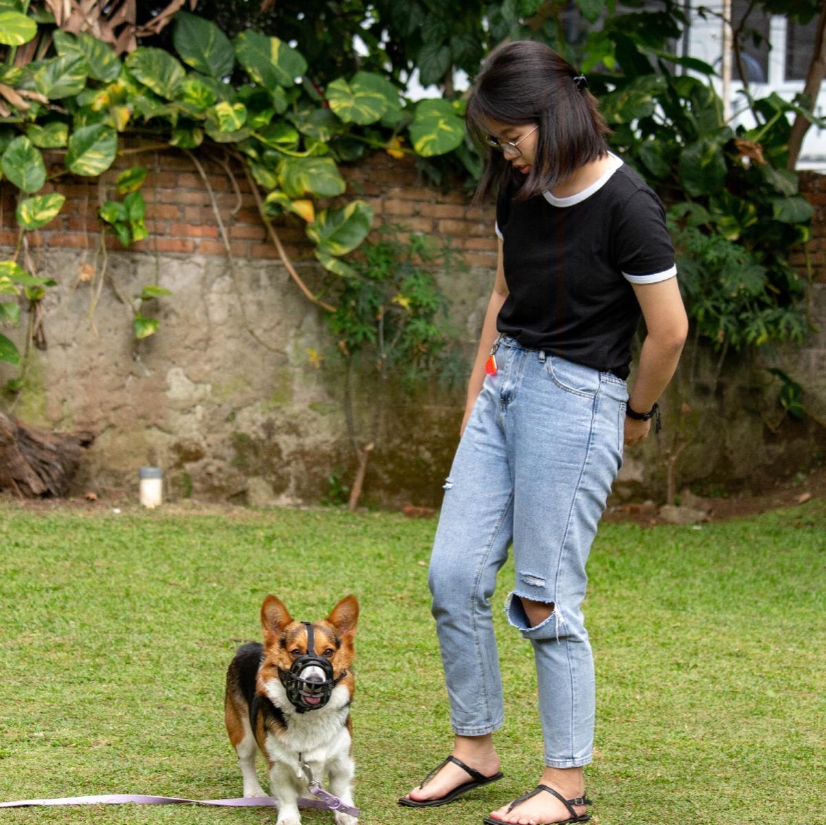 โพสต์ ของ Ivana Ho|Lemon8