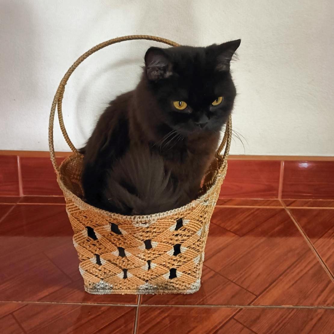 โพสต์ ของ srithep|Lemon8