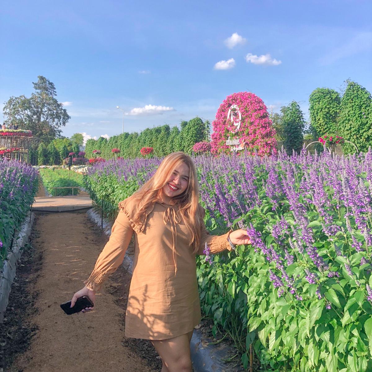 โพสต์ ของ Peppermint|Lemon8