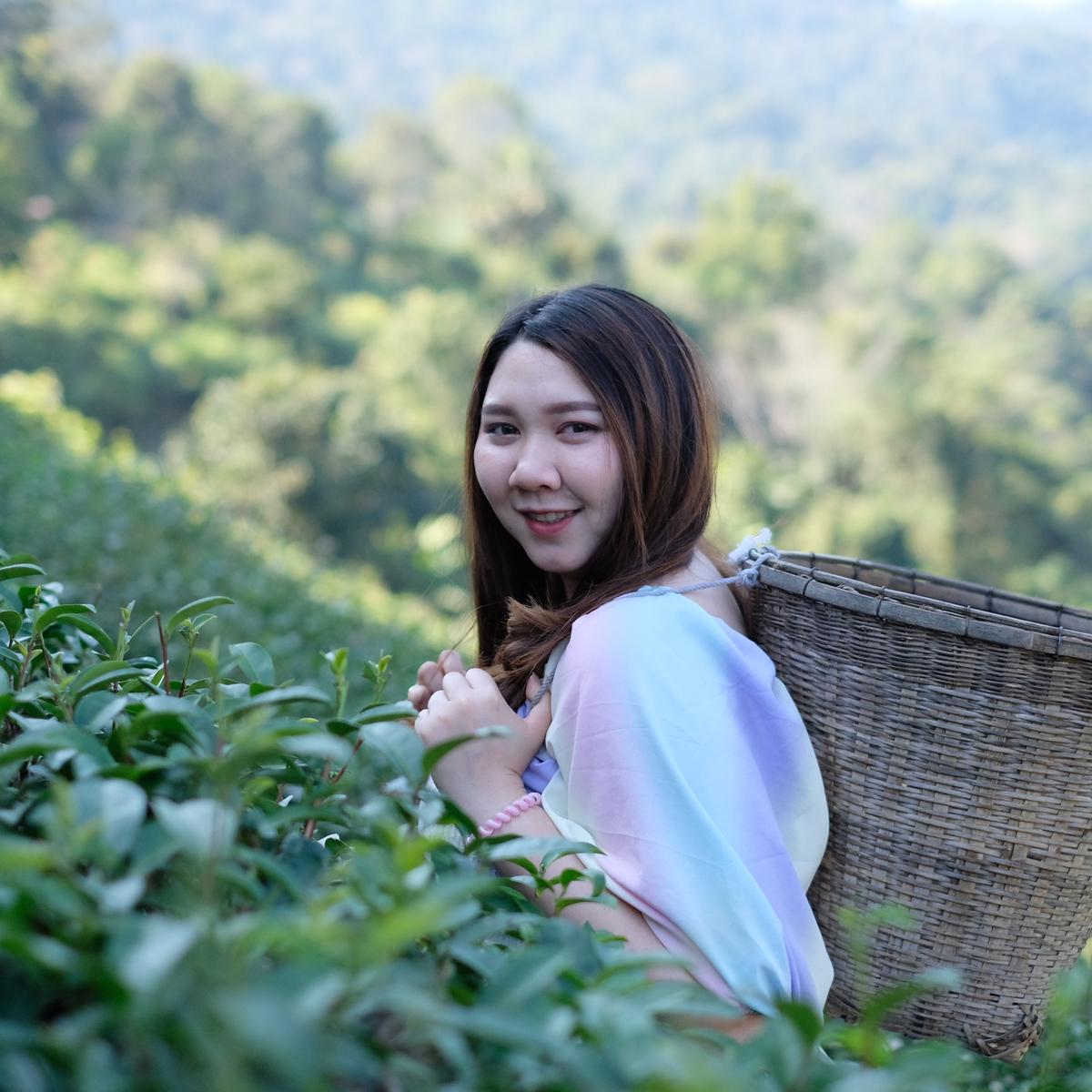 โพสต์ ของ Nicha.pare|Lemon8