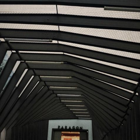 โพสต์ ของ Languor|Lemon8