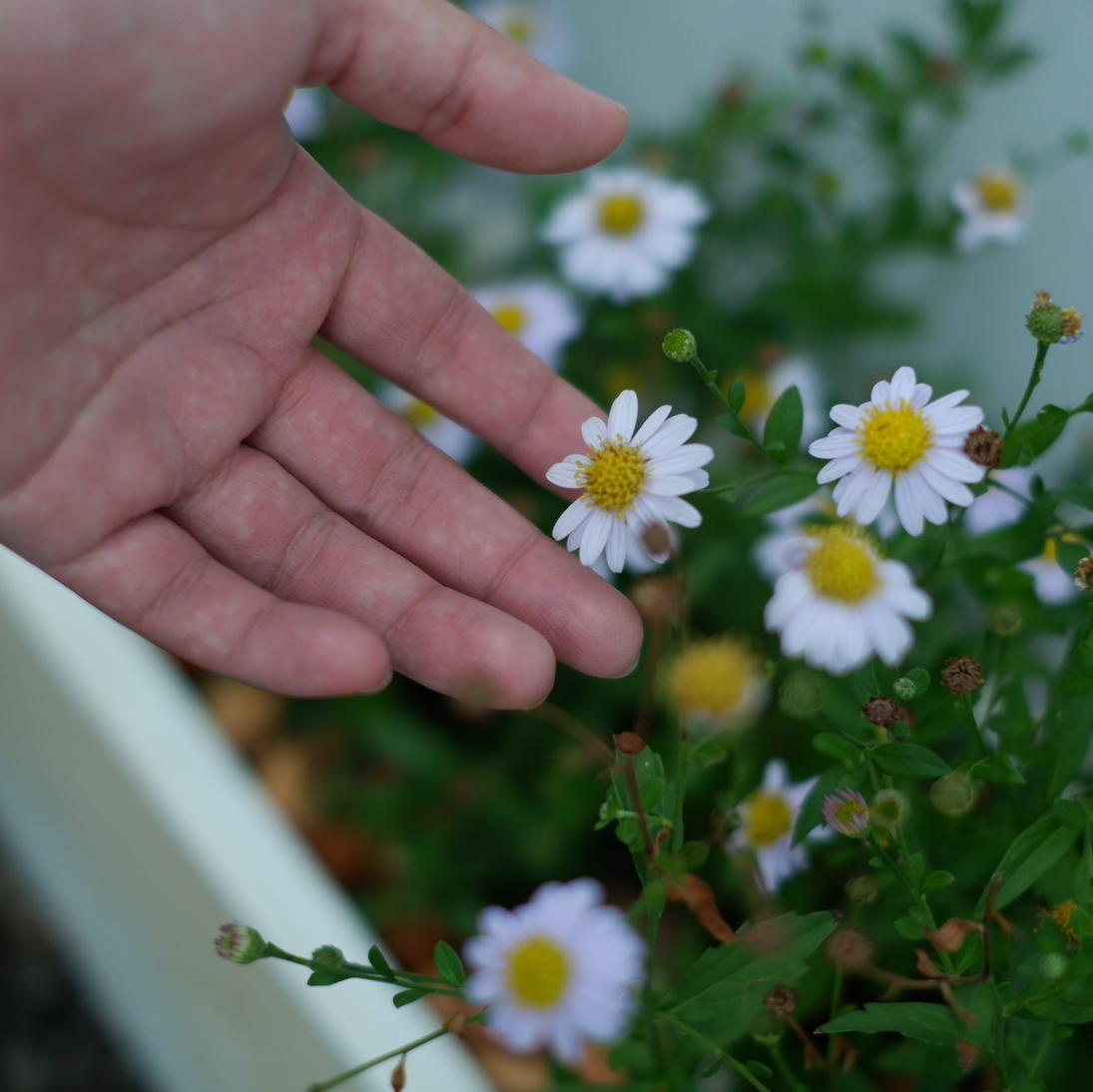 โพสต์ ของ AZZZ|Lemon8