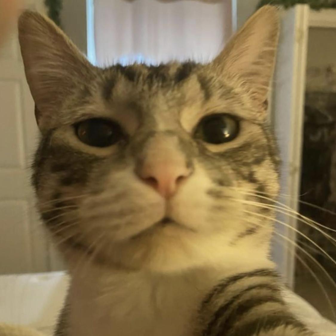 โพสต์ ของ Ái vy|Lemon8