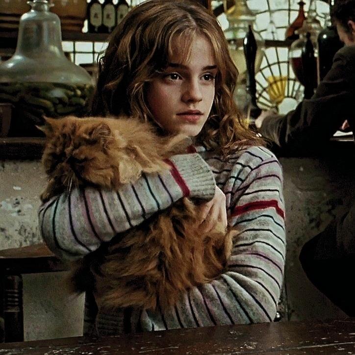 โพสต์ ของ Pream|Lemon8