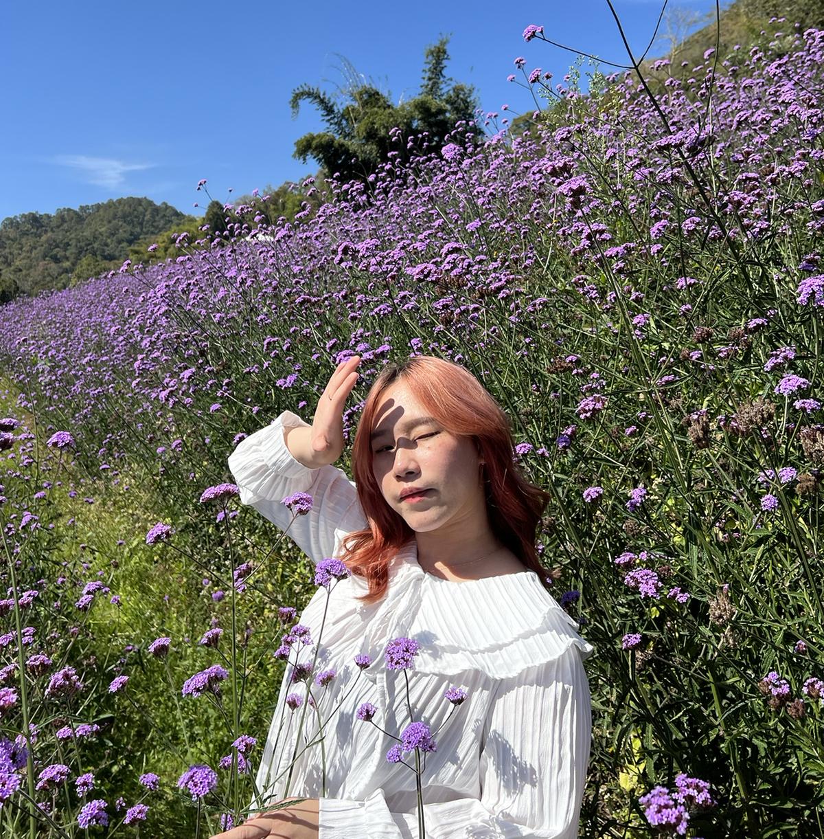 โพสต์ ของ Tatar ʕ•͡ᴥ•͡.|Lemon8