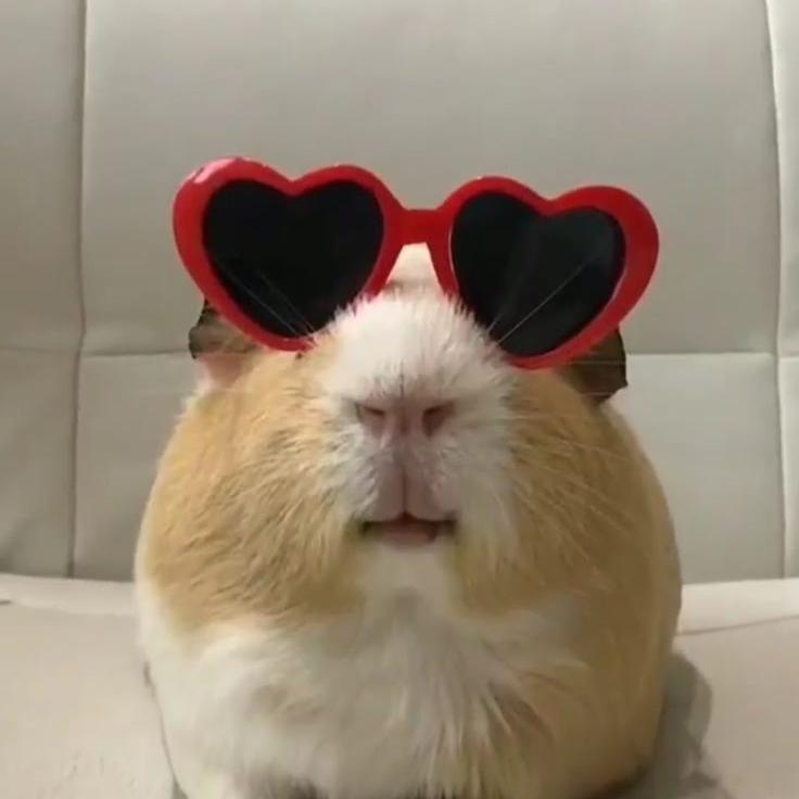 Posting Queen|Lemon8