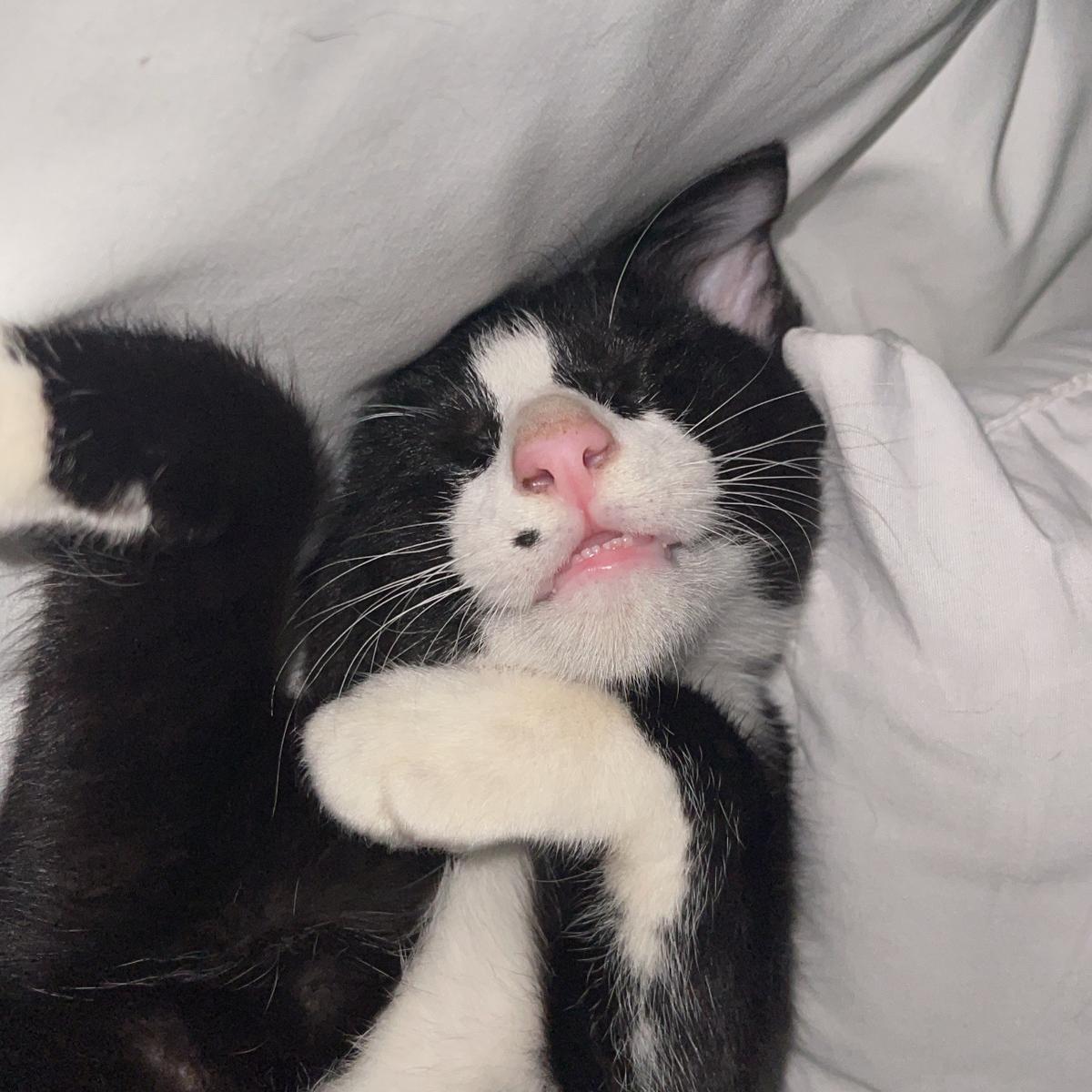 โพสต์ ของ Siriporn|Lemon8