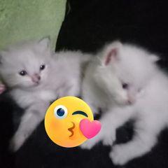 Posting strip|Lemon8