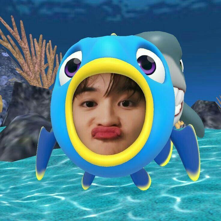 โพสต์ ของ NCT|Lemon8