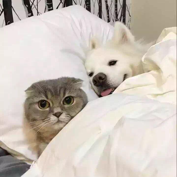 โพสต์ ของ Queen|Lemon8