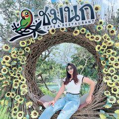 โพสต์ ของ Patchara Ngowch|Lemon8