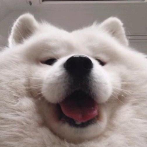 โพสต์ ของ pping_pick|Lemon8