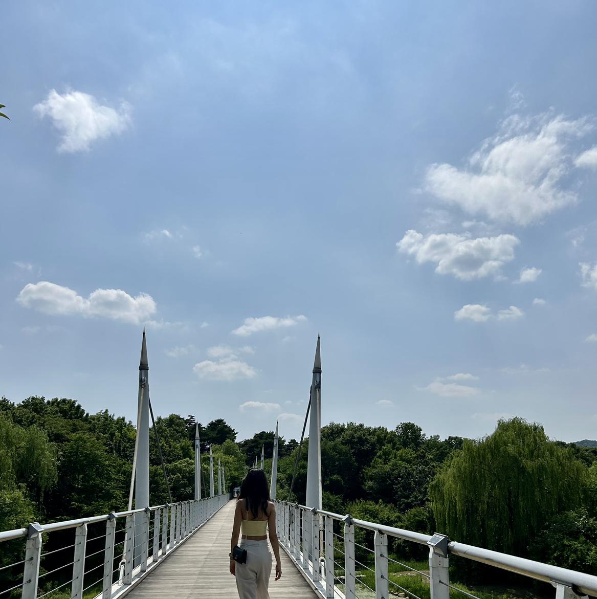 lil_bean ☁️'s Post|Lemon8