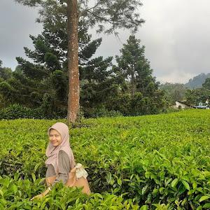 โพสต์ ของ Dessy Indri|Lemon8