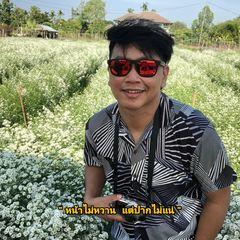โพสต์ ของ Thanayoot Pond|Lemon8