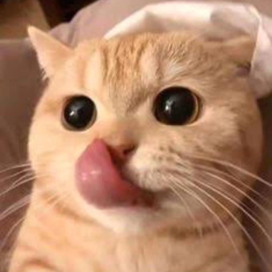 โพสต์ ของ Saranrat Boonle|Lemon8