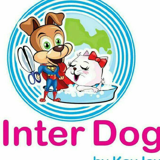 โพสต์ ของ Inter Dog|Lemon8