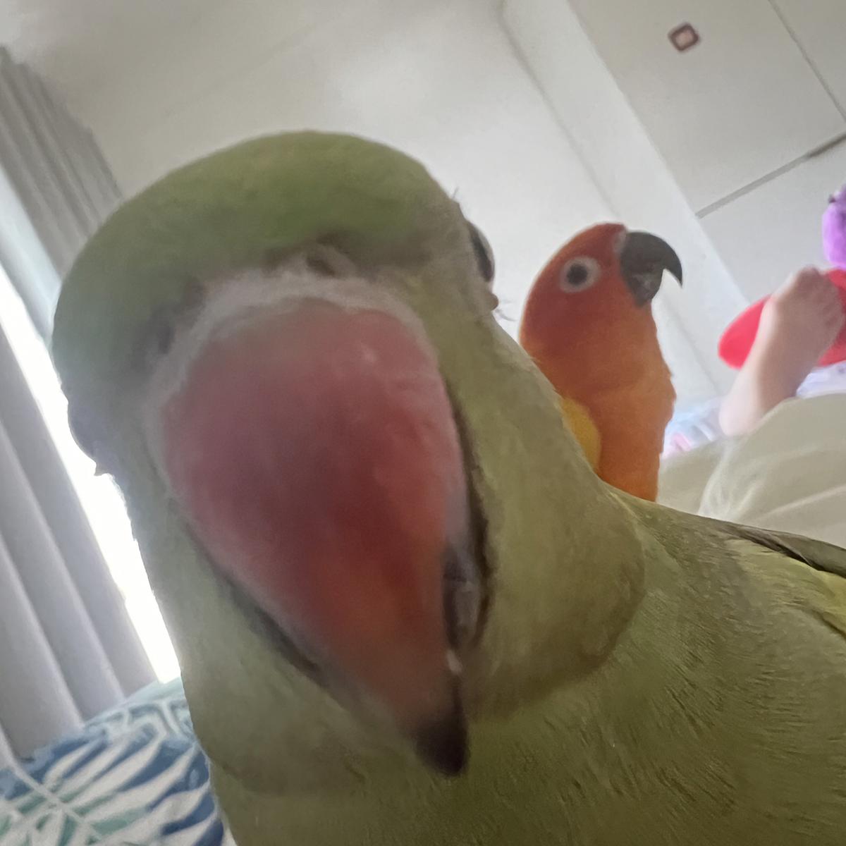 โพสต์ ของ Printobe|Lemon8