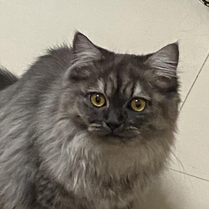 โพสต์ ของ sr|Lemon8