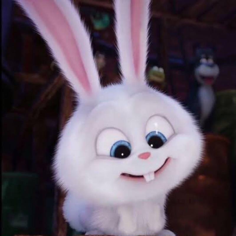 โพสต์ ของ Rabbit|Lemon8