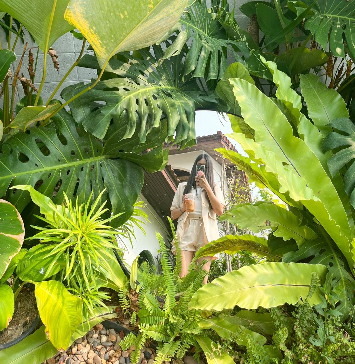 โพสต์ ของ BoBo|Lemon8