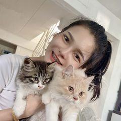 โพสต์ ของ Kun_CarRot|Lemon8