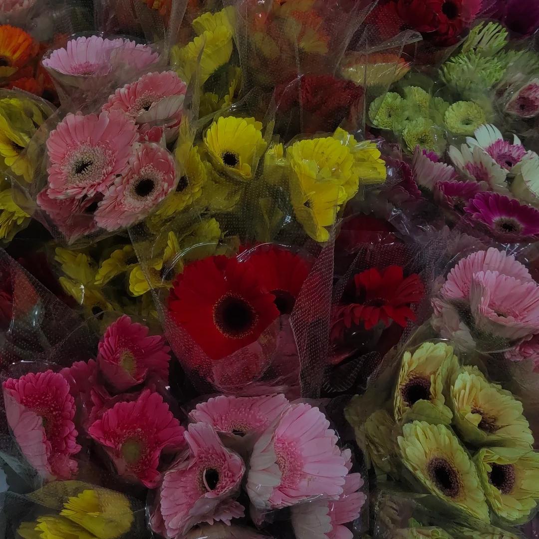 โพสต์ ของ user(20)|Lemon8