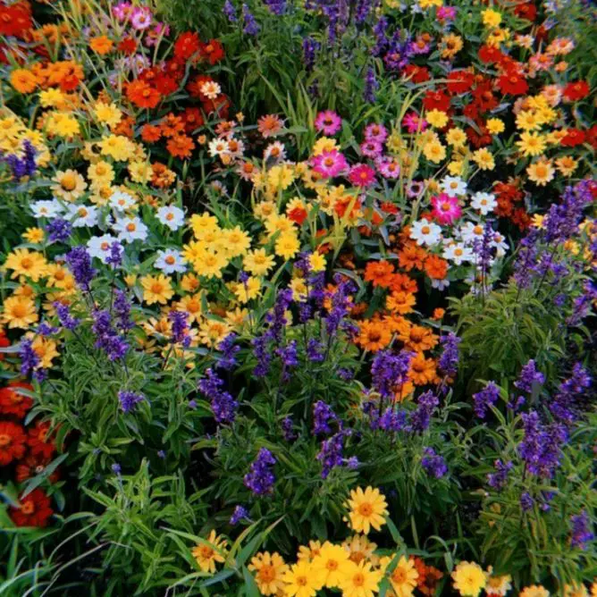 โพสต์ ของ yu|Lemon8