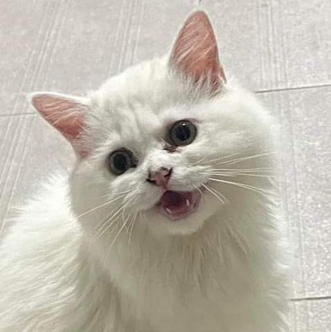 โพสต์ ของ รีวิวไปเรื่อยๆ|Lemon8