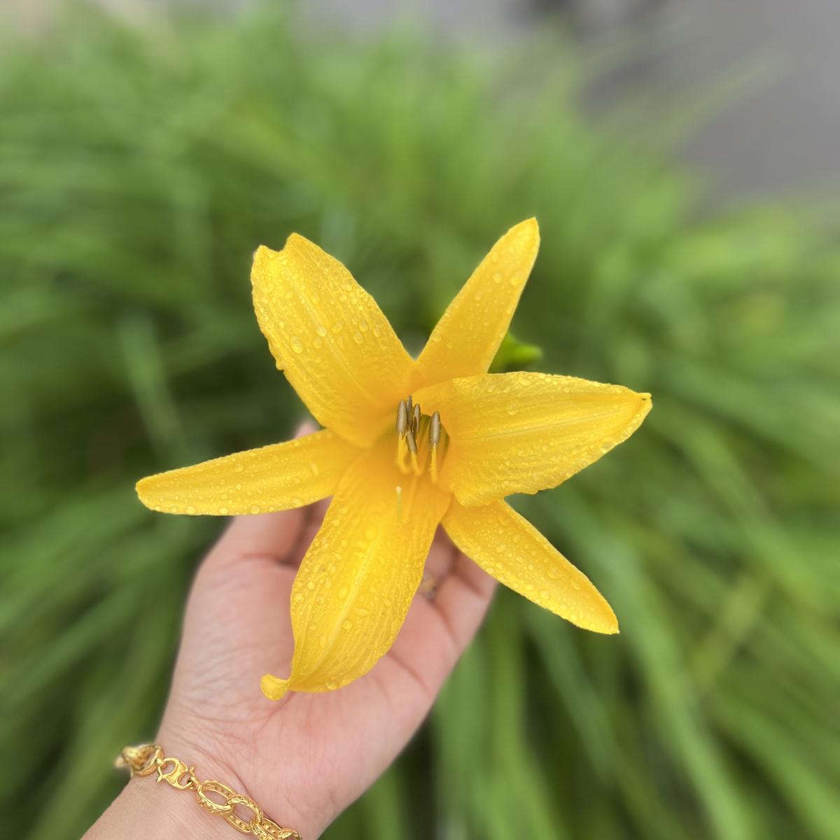 Posting Aprilea Aries|Lemon8