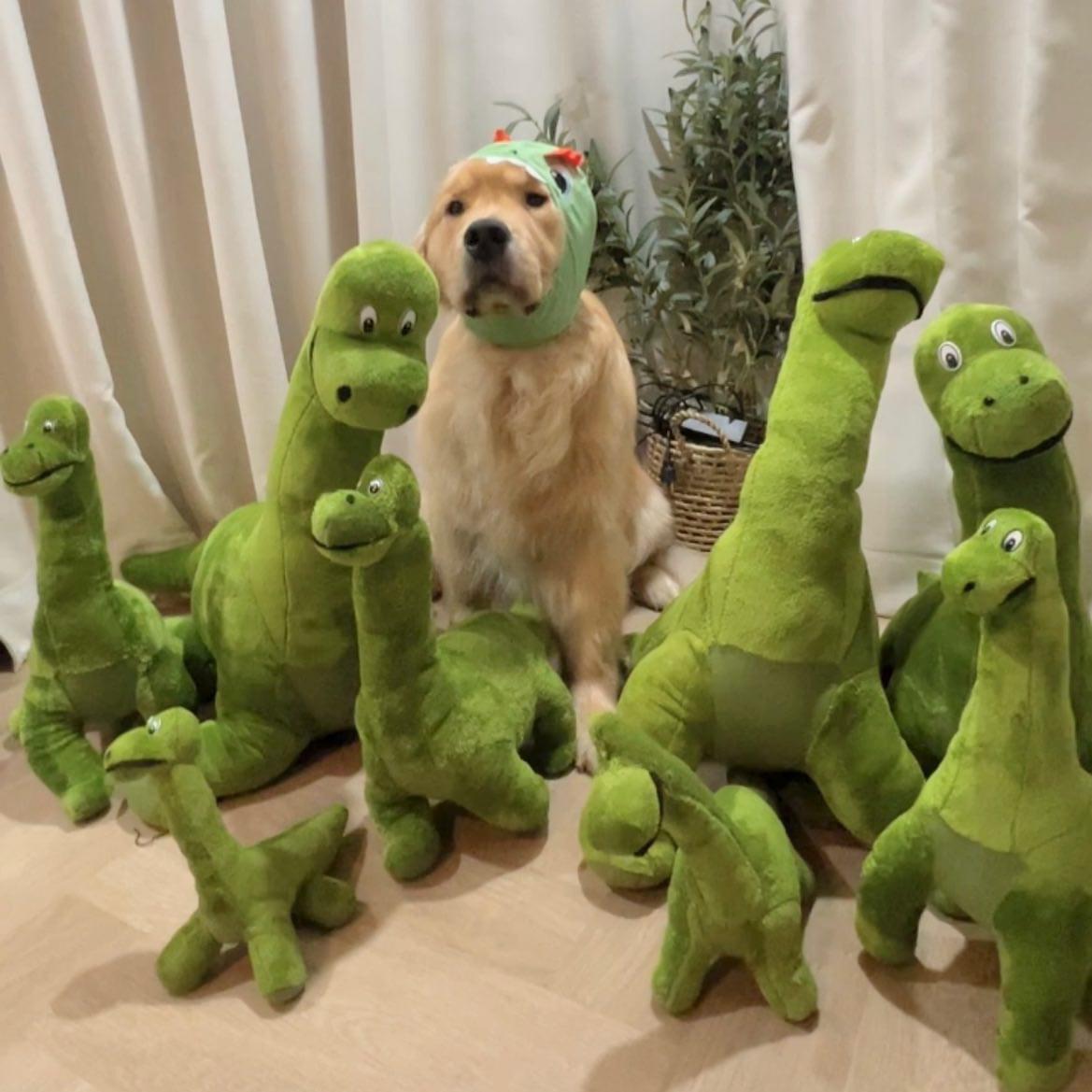 โพสต์ ของ JR|Lemon8