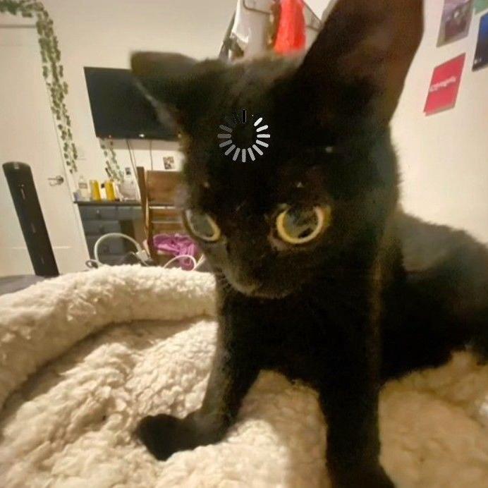 โพสต์ ของ Yuri|Lemon8