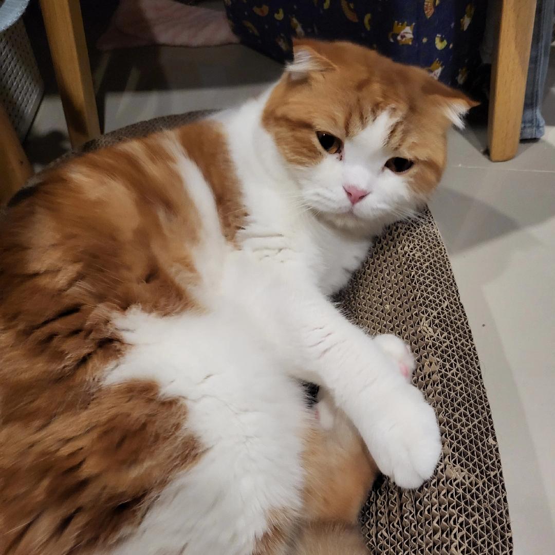 โพสต์ ของ NUT|Lemon8