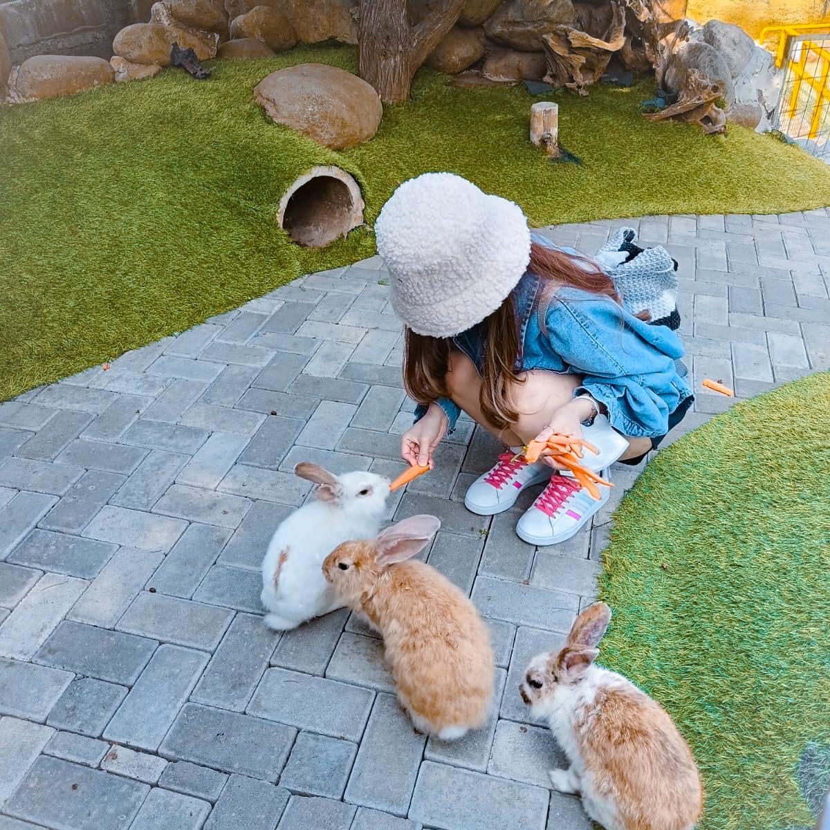 Posting Bunnyfunn|Lemon8